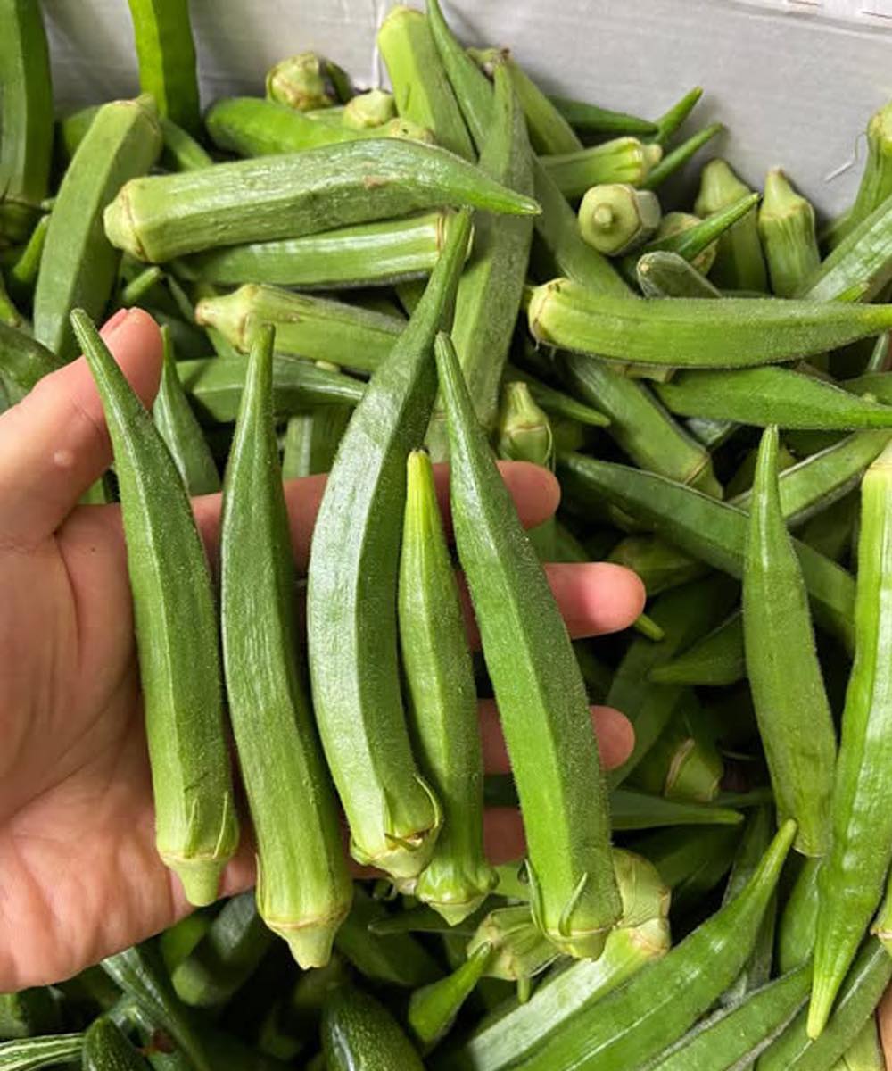 Is Okra Good for People With Diabetes? Benefits, Risks, and How to Eat ...